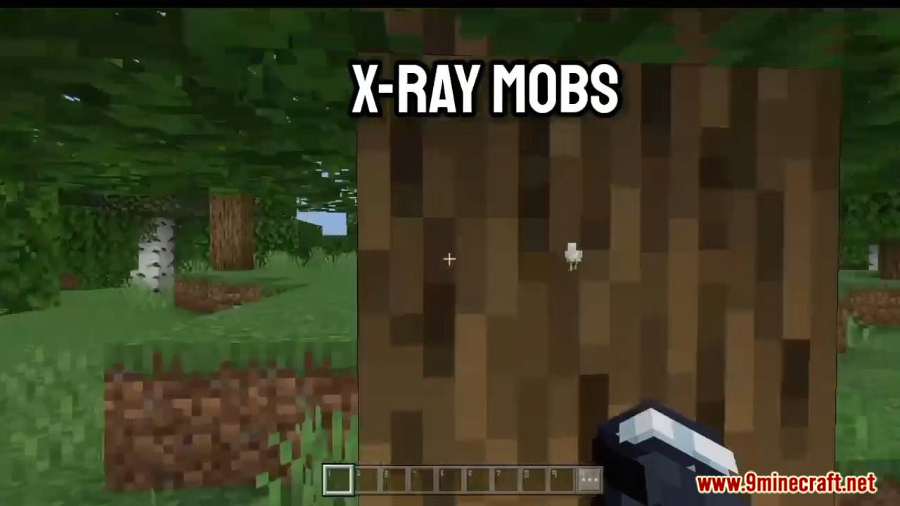 Sea Through X Ray Mcpe - 1Minecraft