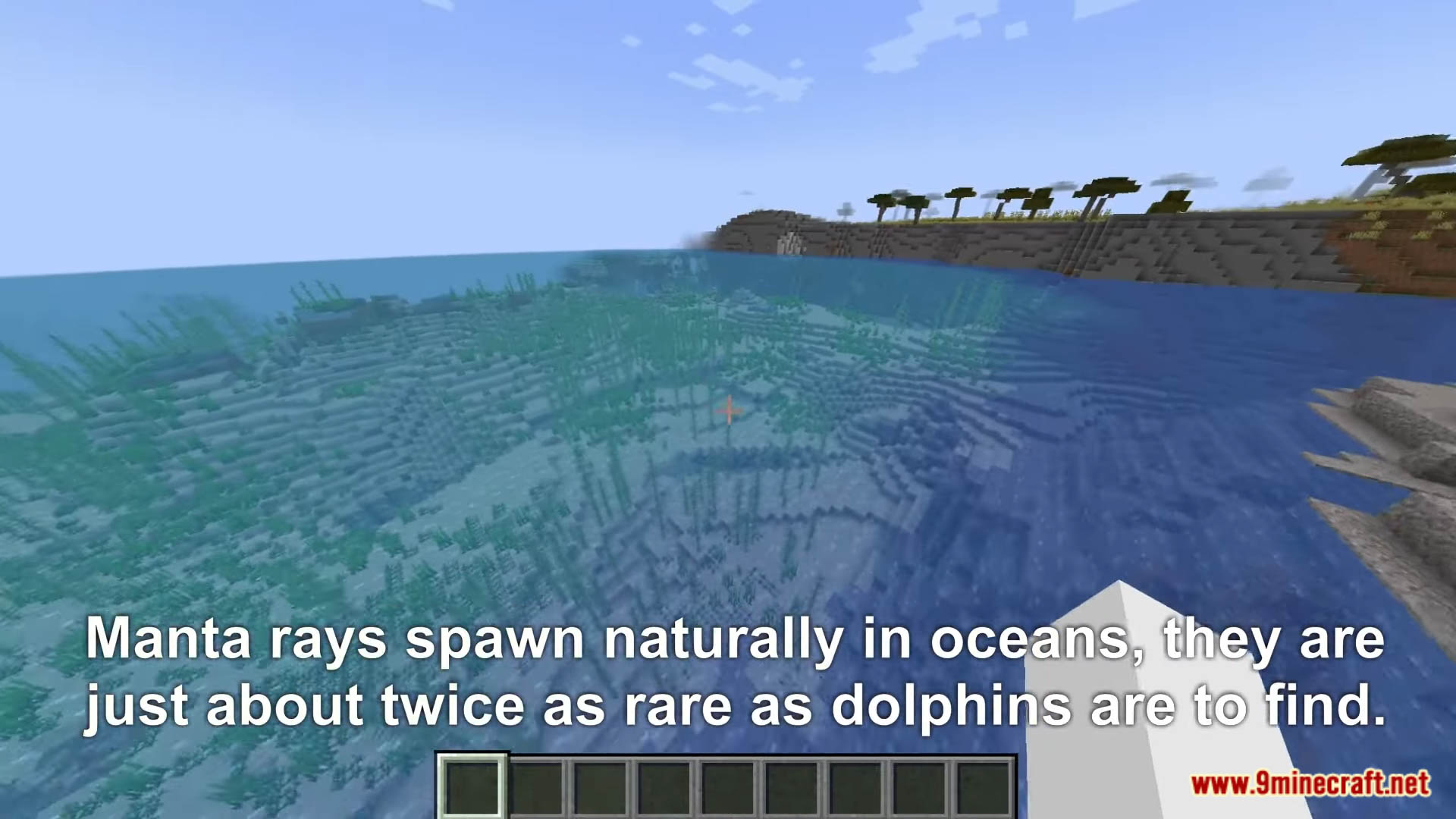 Manta Rays Data Pack - 1Minecraft