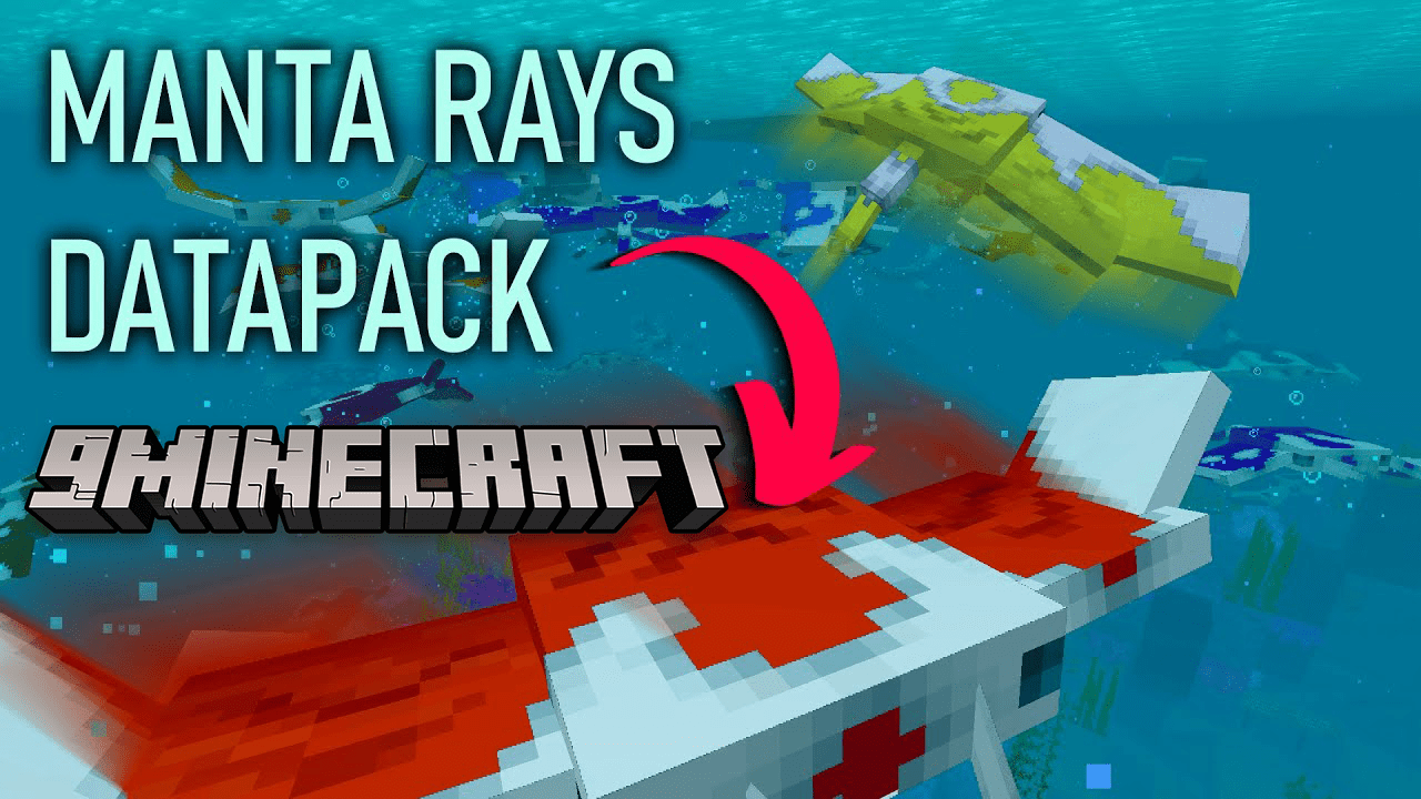 Manta Rays Data Pack - 1Minecraft
