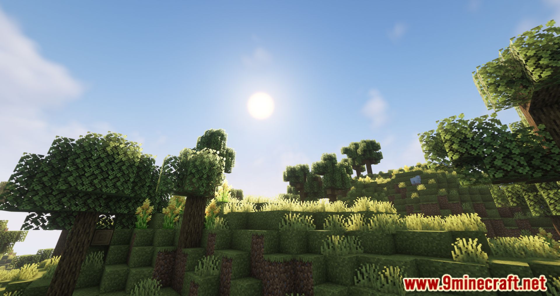Out Of Sight Mod - 1Minecraft