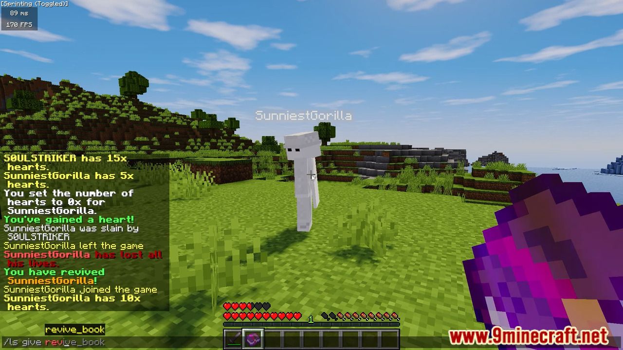 Lifesteal Smp Plugin - 1Minecraft