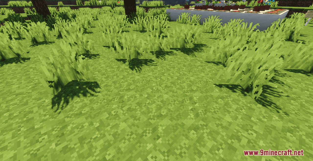 Accurate Textures Resource Pack - 1Minecraft