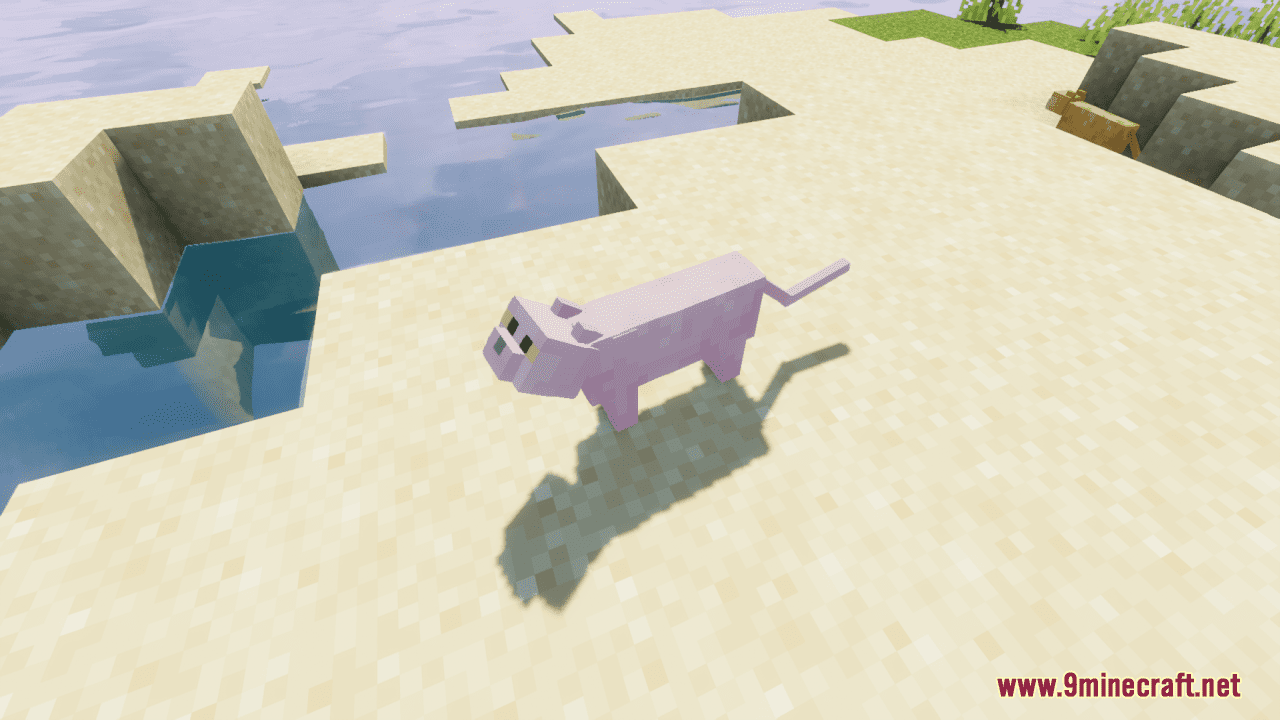 Rainbow Cats Resource Pack - 1Minecraft