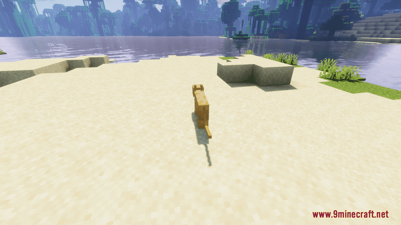 Rainbow Cats Resource Pack - 1Minecraft