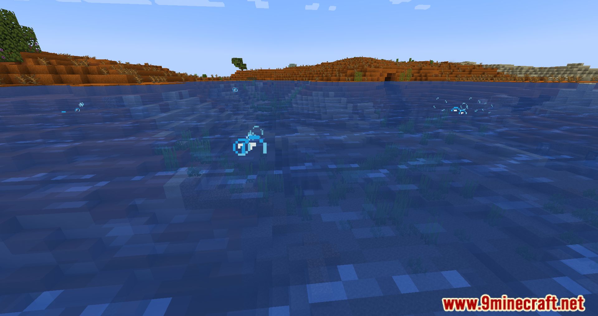 Make Bubbles Pop Mod - 1Minecraft