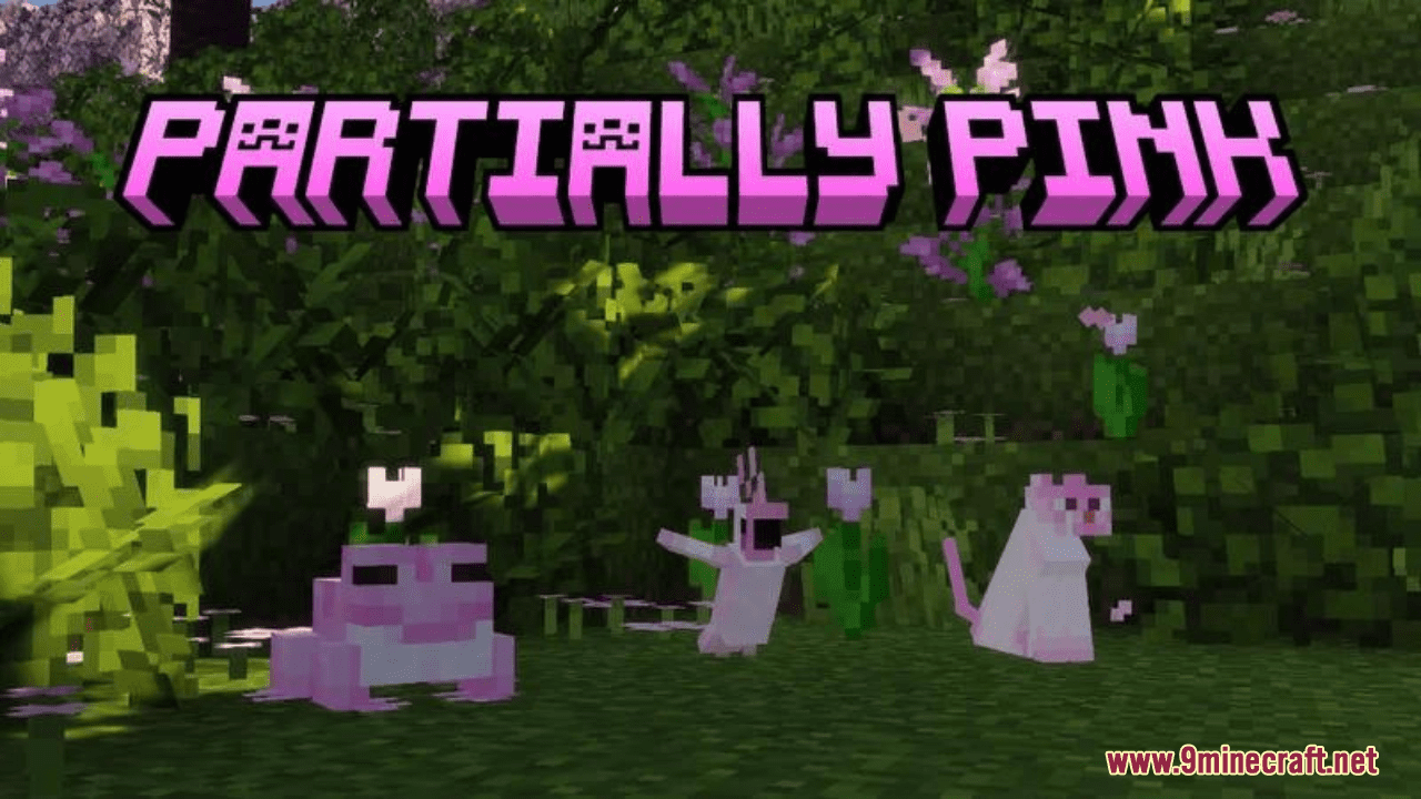 Partially Pink Resource Pack - 1Minecraft